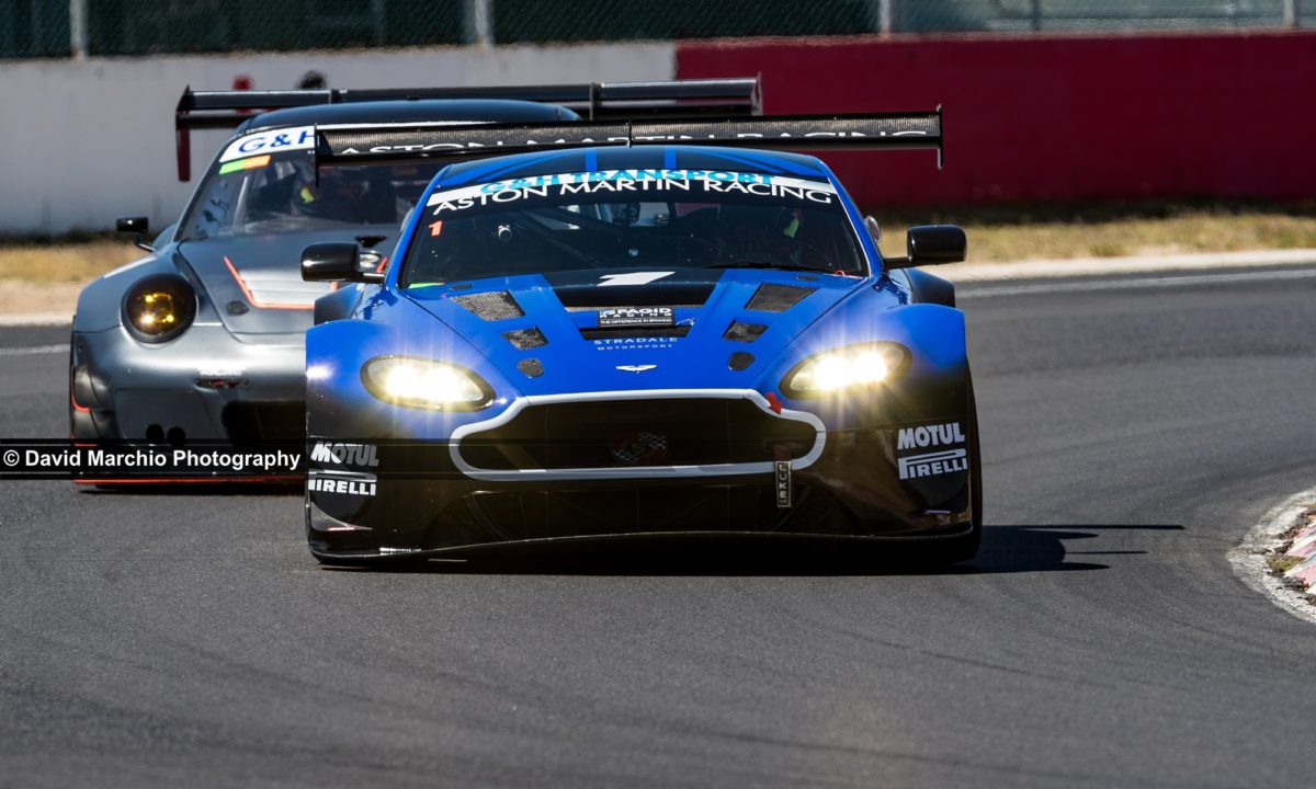 David Marchio, Author at Double Apex